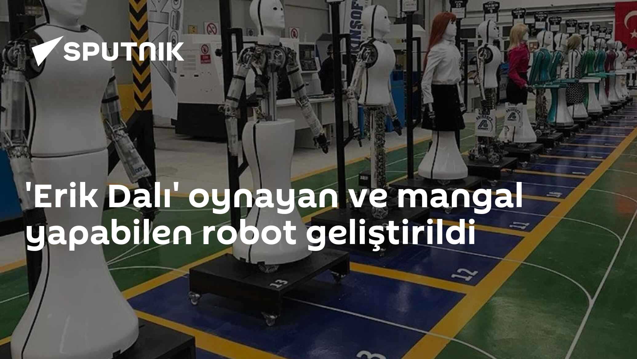 'Erik Dalı' oynayan ve mangal yapabilen robot geliştirildi - 17.02.2018, Sputnik Türkiye