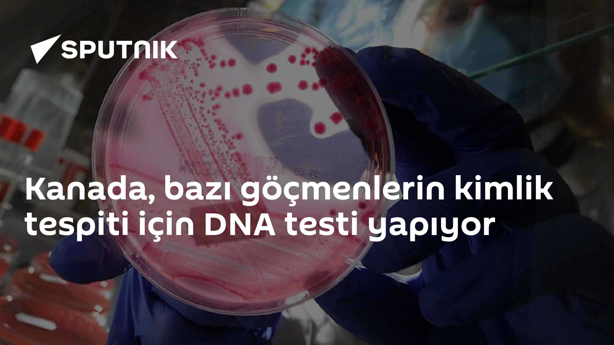 Kanada, bazı göçmenlerin kimlik tespiti için DNA testi yapıyor - 01.08. ...