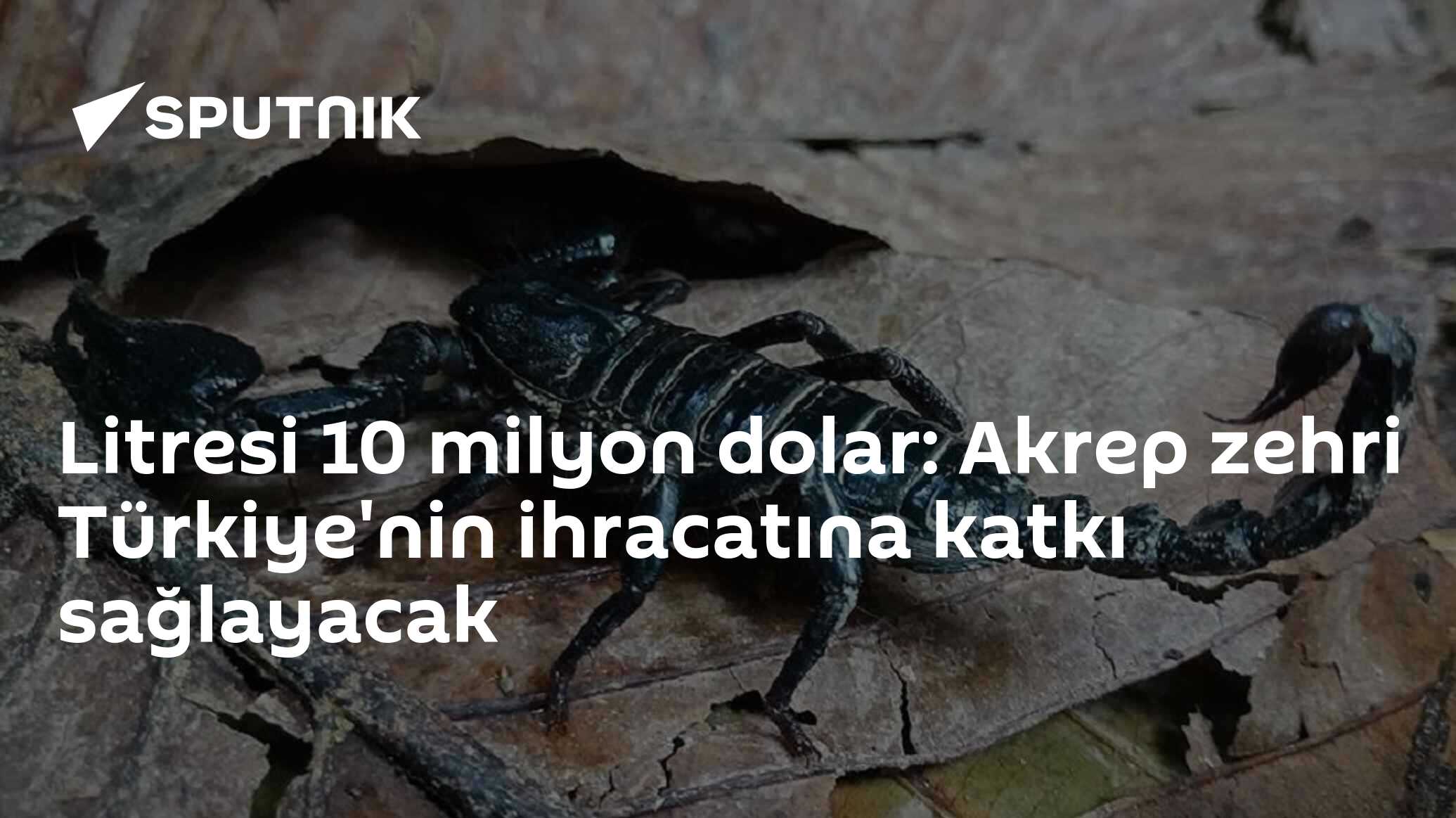 Litresi 10 milyon dolar: Akrep zehri Türkiye'nin ihracatına katkı ...