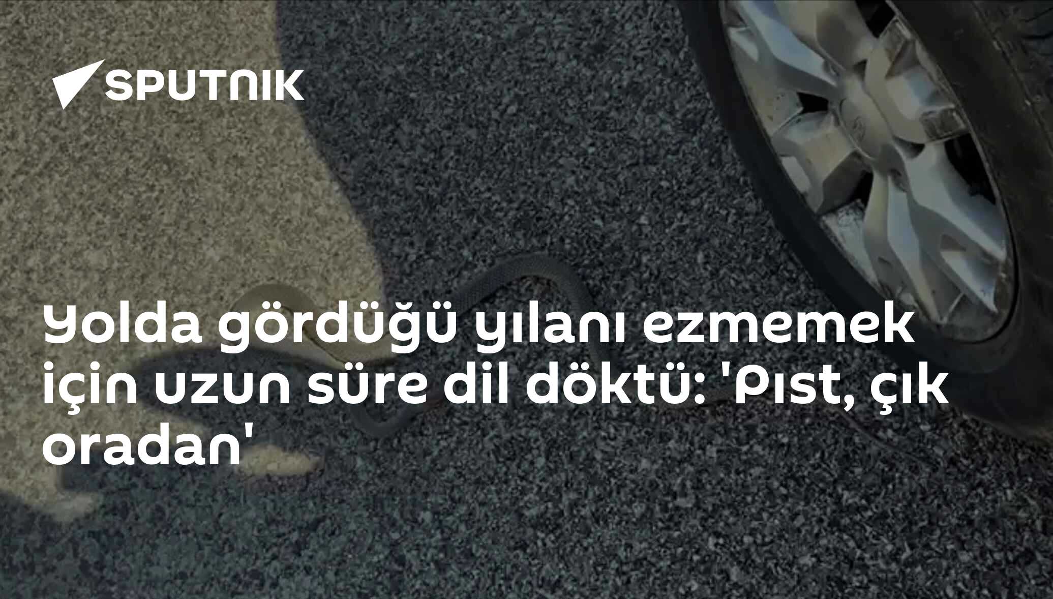 Yolda gördüğü yılanı ezmemek için uzun süre dil döktü: 'Pıst, çık ...