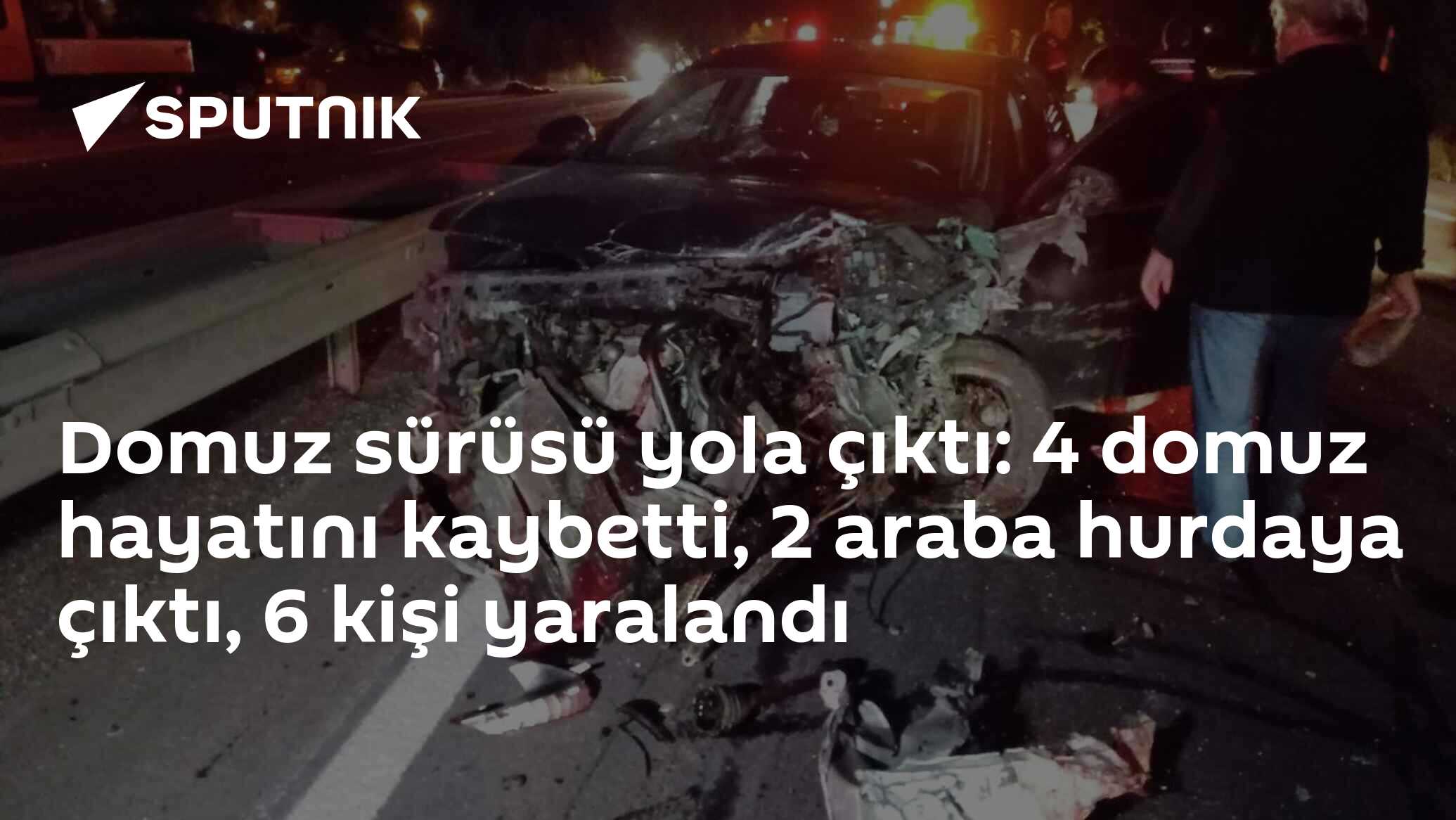 Domuz sürüsü yola çıktı: 4 domuz hayatını kaybetti, 2 araba hurdaya ...