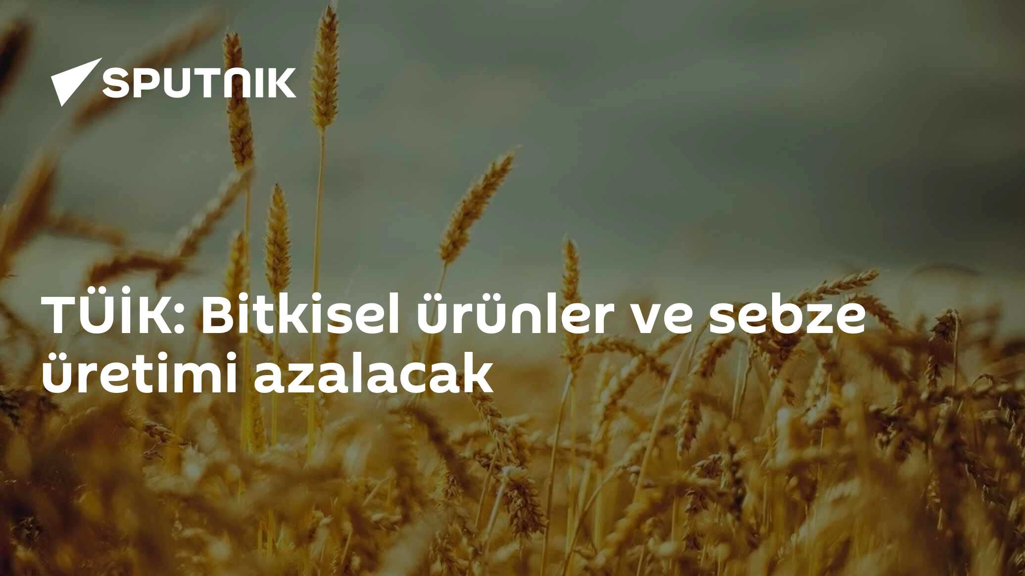 TÜİK: Bitkisel ürünler ve sebze üretimi azalacak - 25.10.2021, Sputnik ...