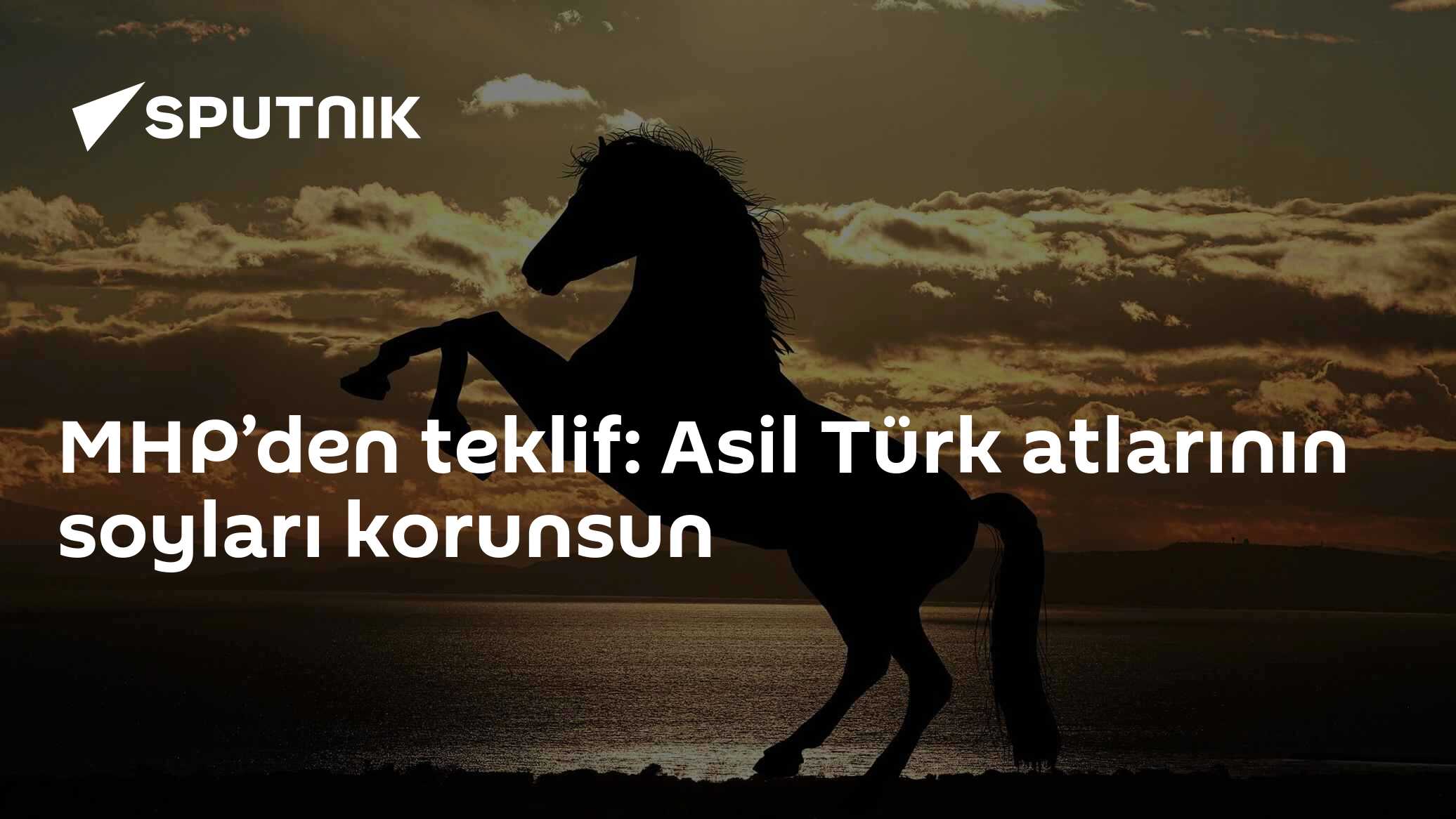 MHP’den teklif: Asil Türk atlarının soyları korunsun - 03.02.2022 ...