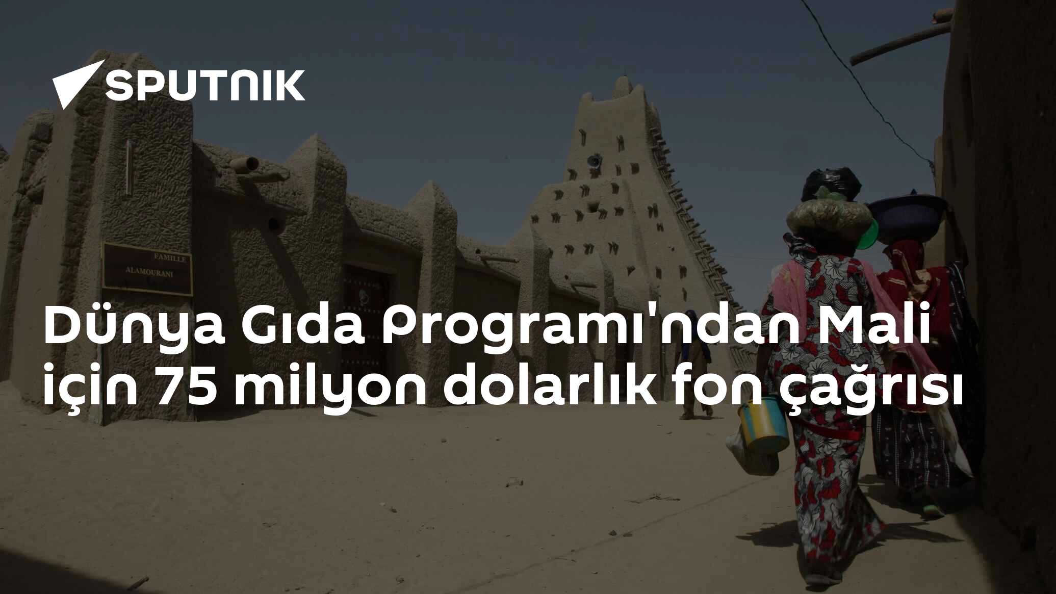 Dünya Gıda Programı'ndan Mali için 75 milyon dolarlık fon çağrısı - 07. ...