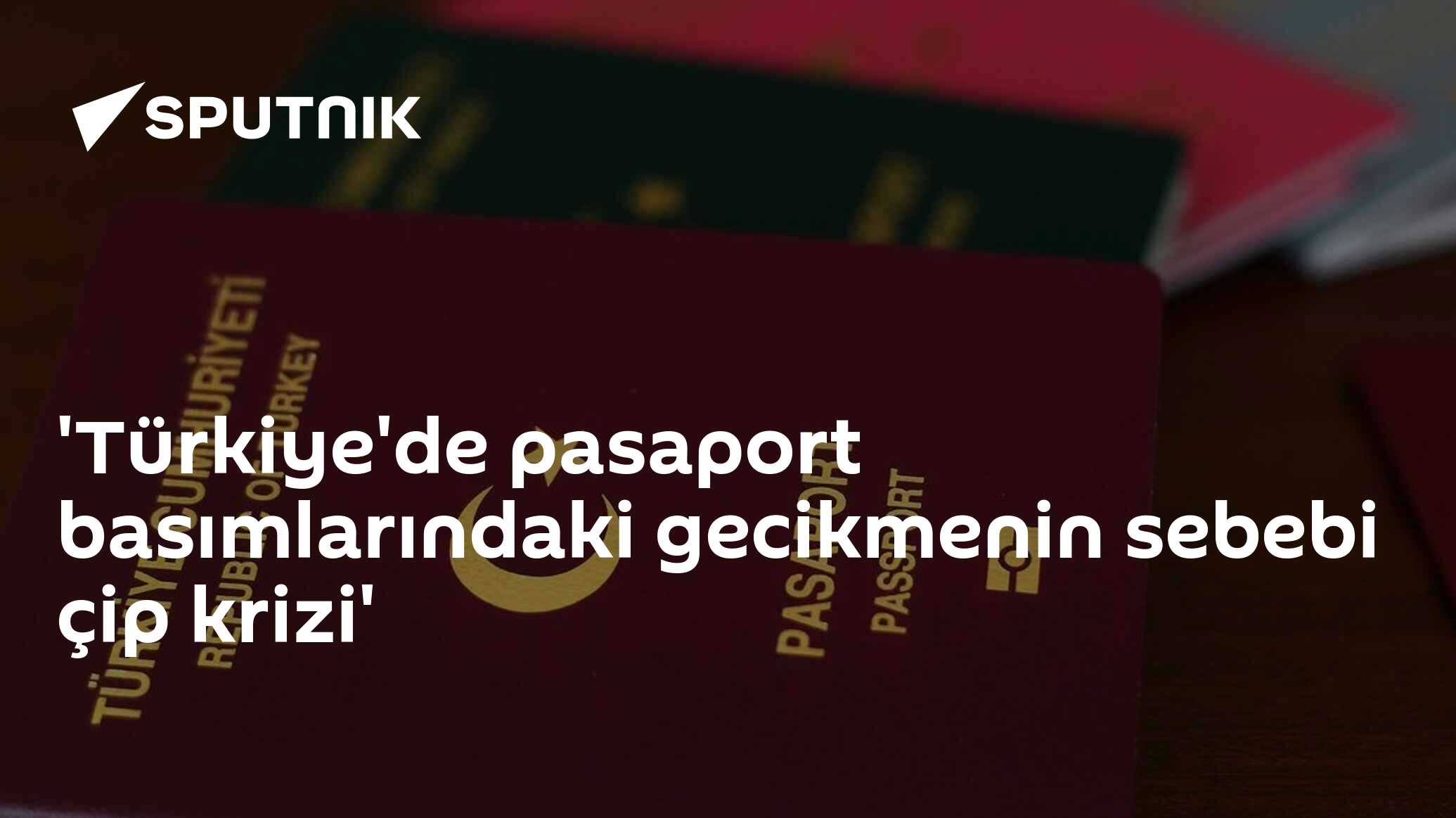 'Türkiye'de pasaport basımlarındaki gecikmenin sebebi çip krizi' - 22. ...