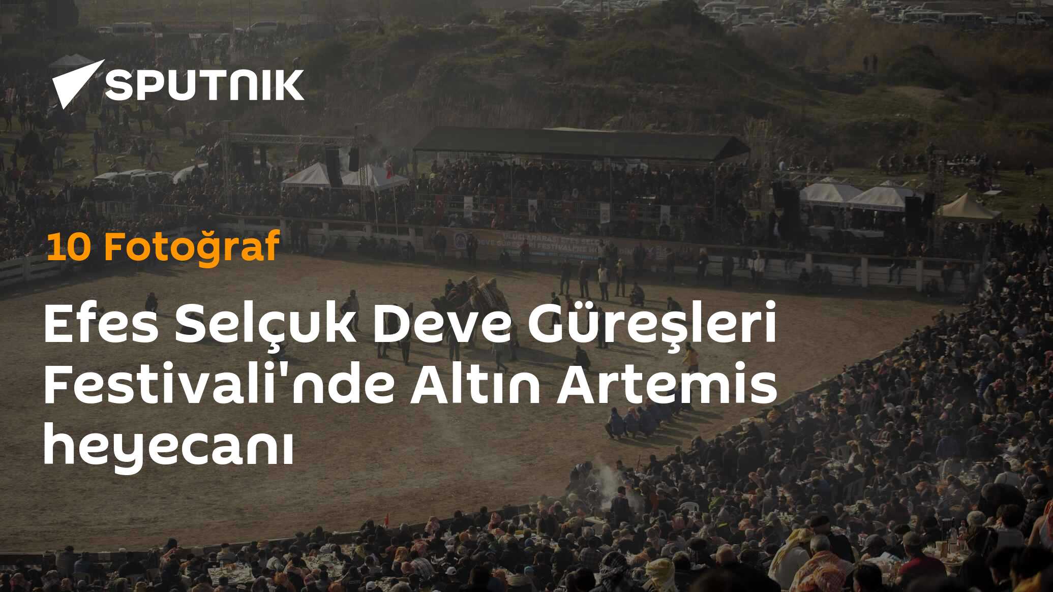 Efes Selçuk Deve Güreşleri Festivali'nde Altın Artemis heyecanı - 16.01 ...