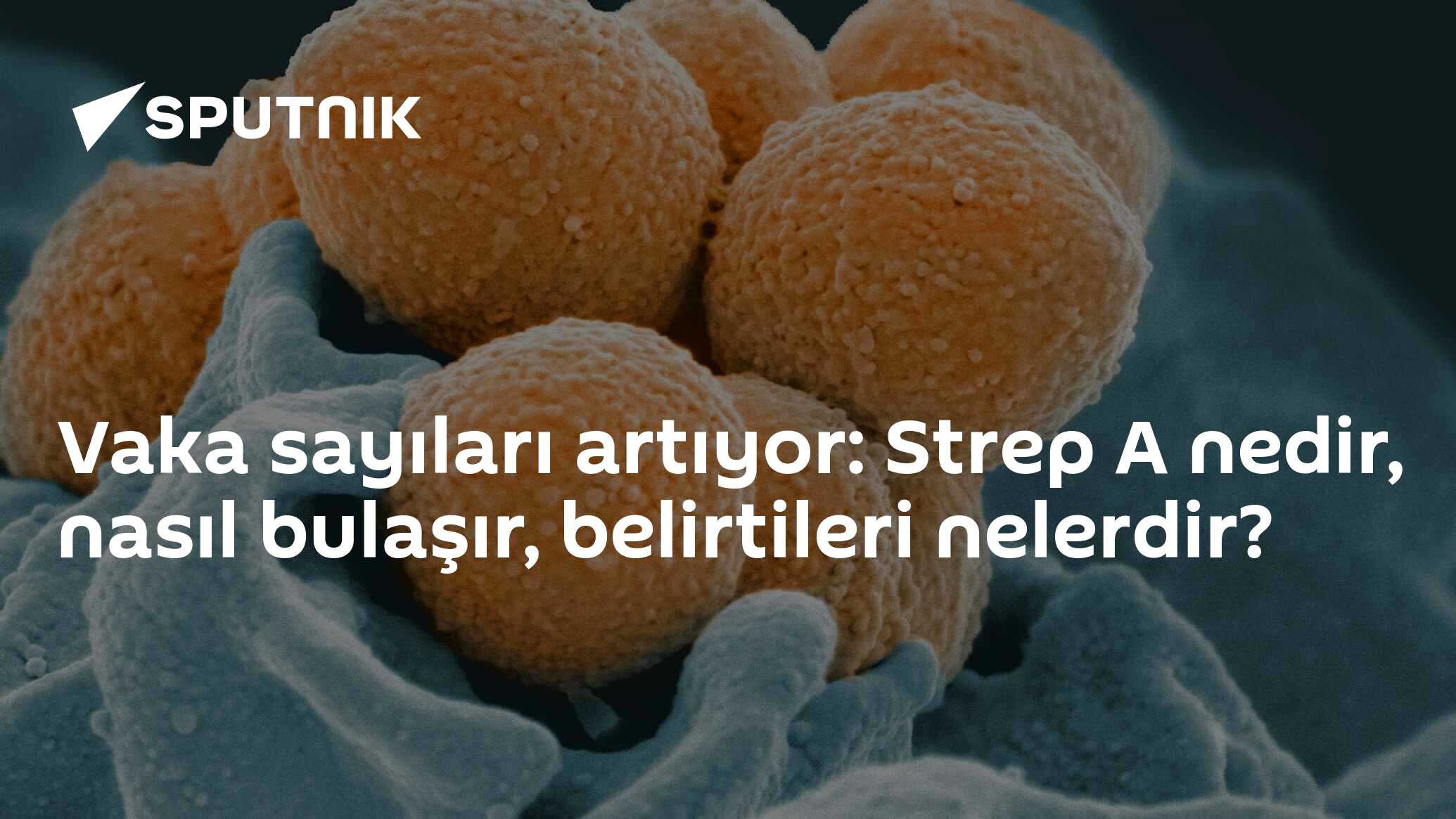 Vaka sayıları artıyor: Strep A nedir, nasıl bulaşır, belirtileri ...