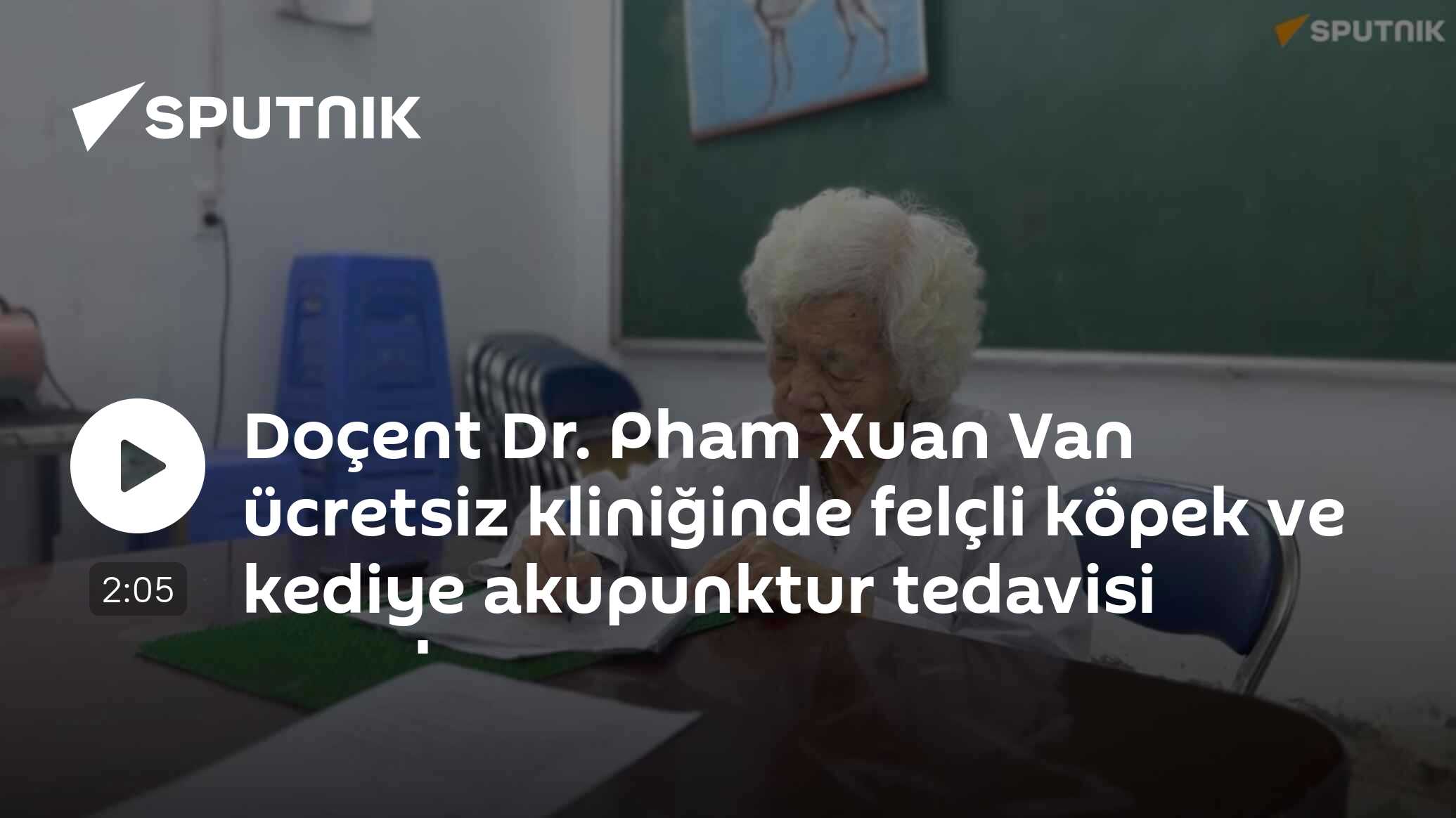 Doçent Dr. Pham Xuan Van ücretsiz kliniğinde felçli köpek ve kediye ...