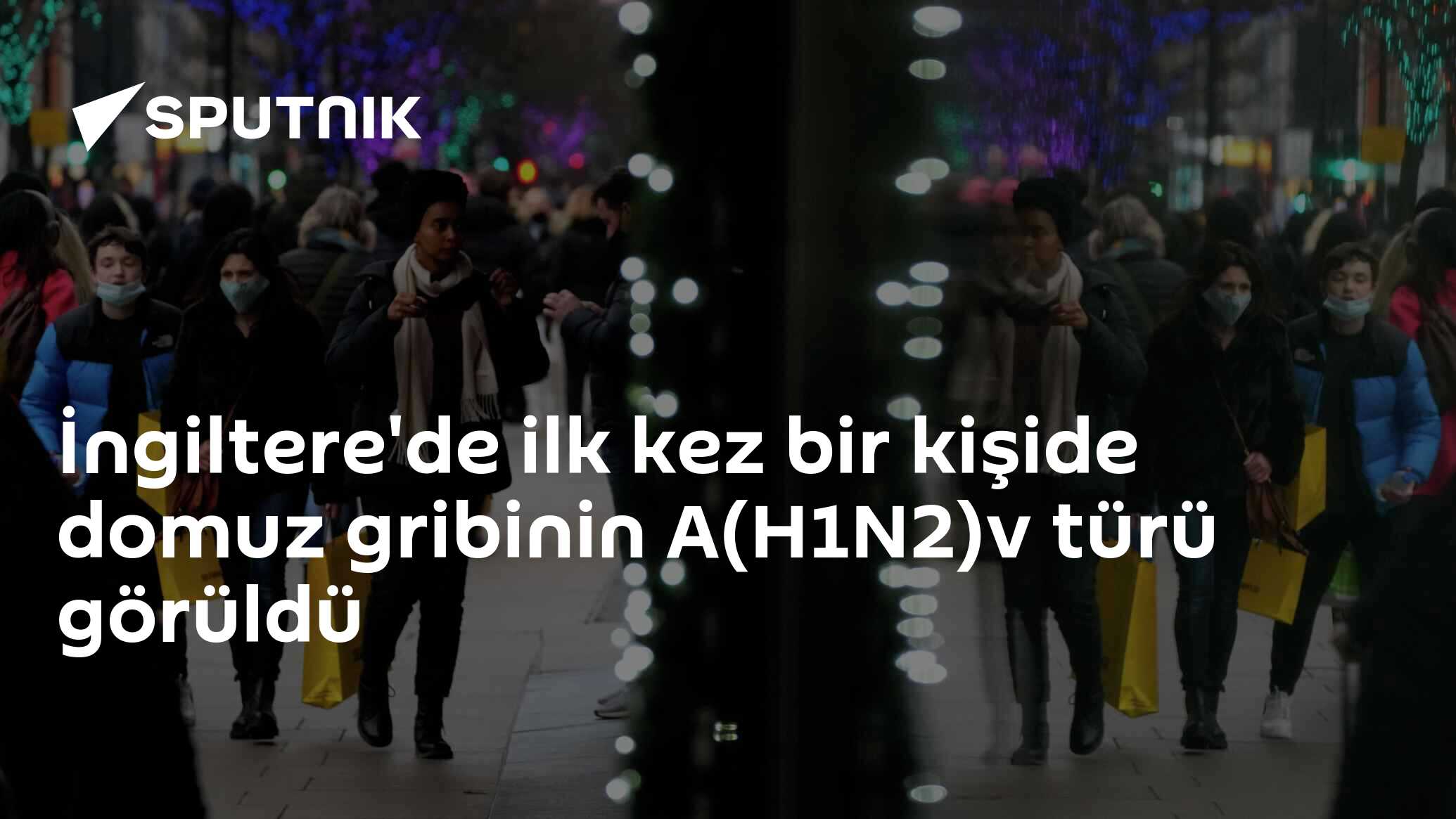 İngiltere'de ilk kez bir kişide domuz gribinin A(H1N2)v türü görüldü - 27.11.2023, Sputnik Türkiye