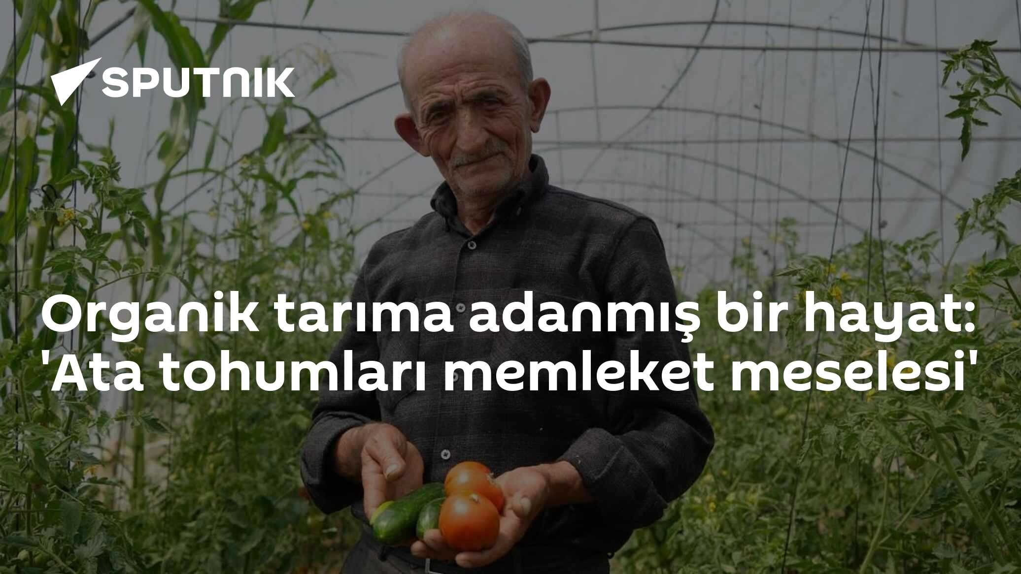 Organik tarıma adanmış bir hayat: 'Ata tohumları memleket meselesi ...