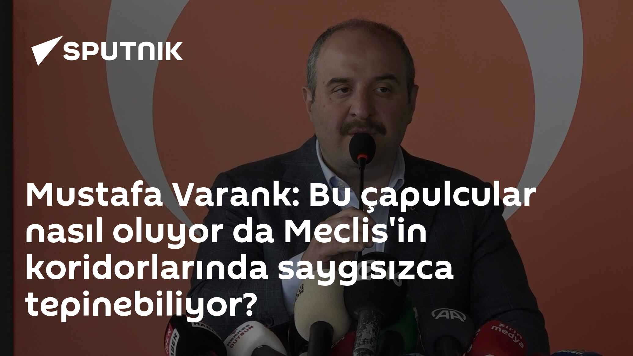 Mustafa Varank: Bu çapulcular nasıl oluyor da Meclis'in koridorlarında ...
