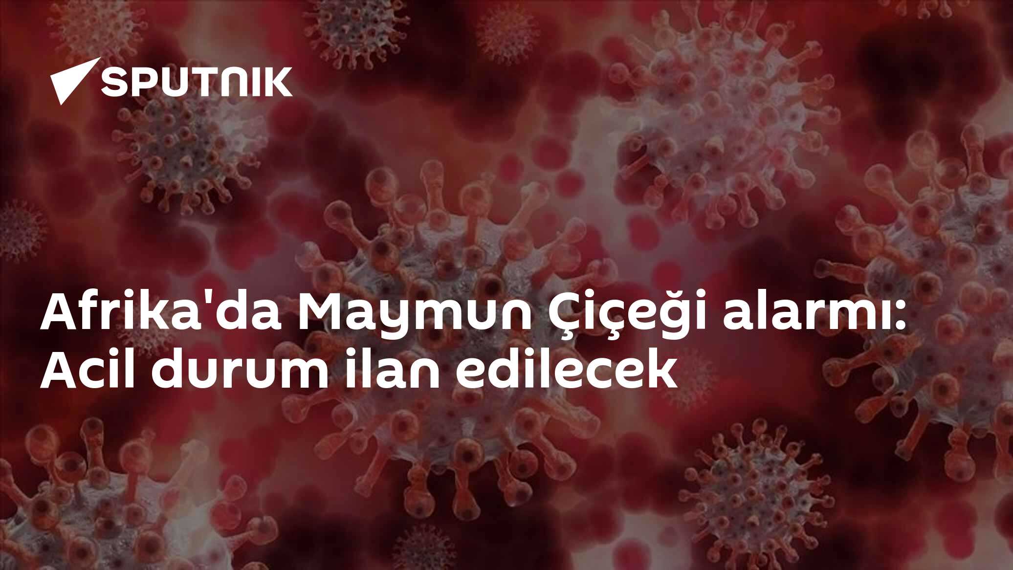 Afrika'da Maymun Çiçeği alarmı: Acil durum ilan edilecek - 08.08.2024 ...