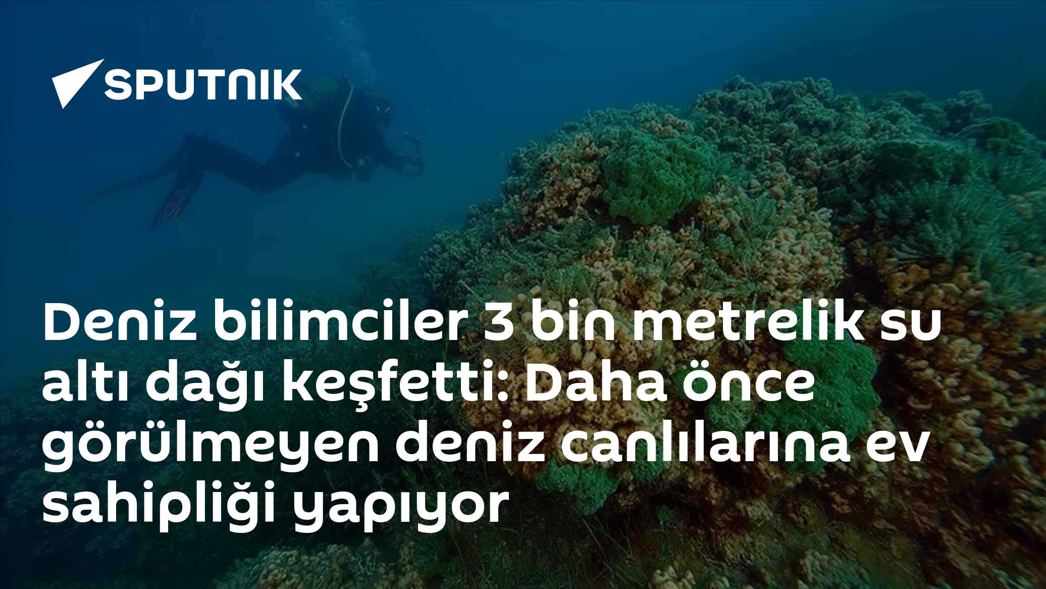 Deniz bilimciler 3 bin metrelik su altı dağı keşfetti: Daha önce ...