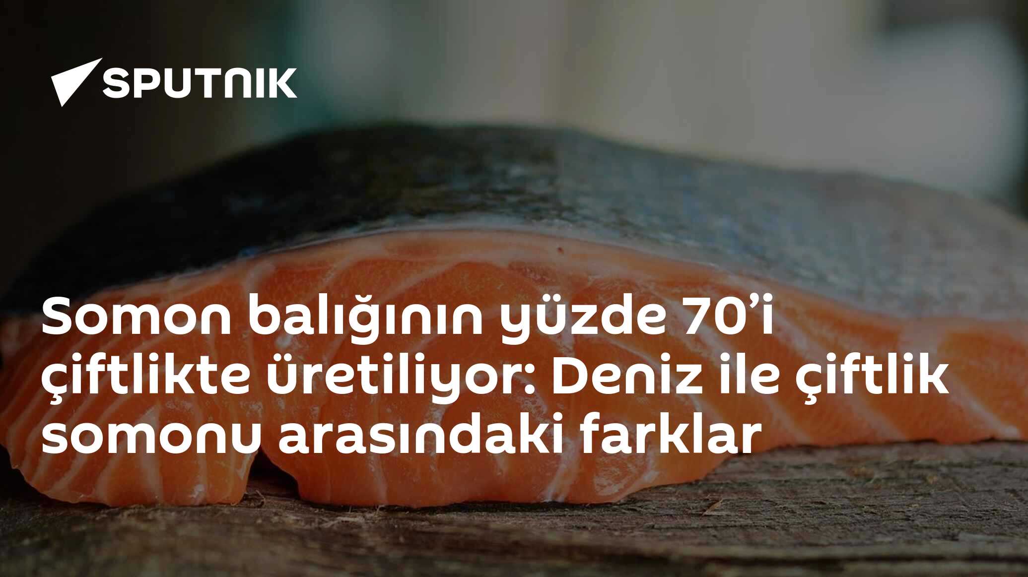 Somon balığının yüzde 70’i çiftlikte üretiliyor: Deniz ile çiftlik ...