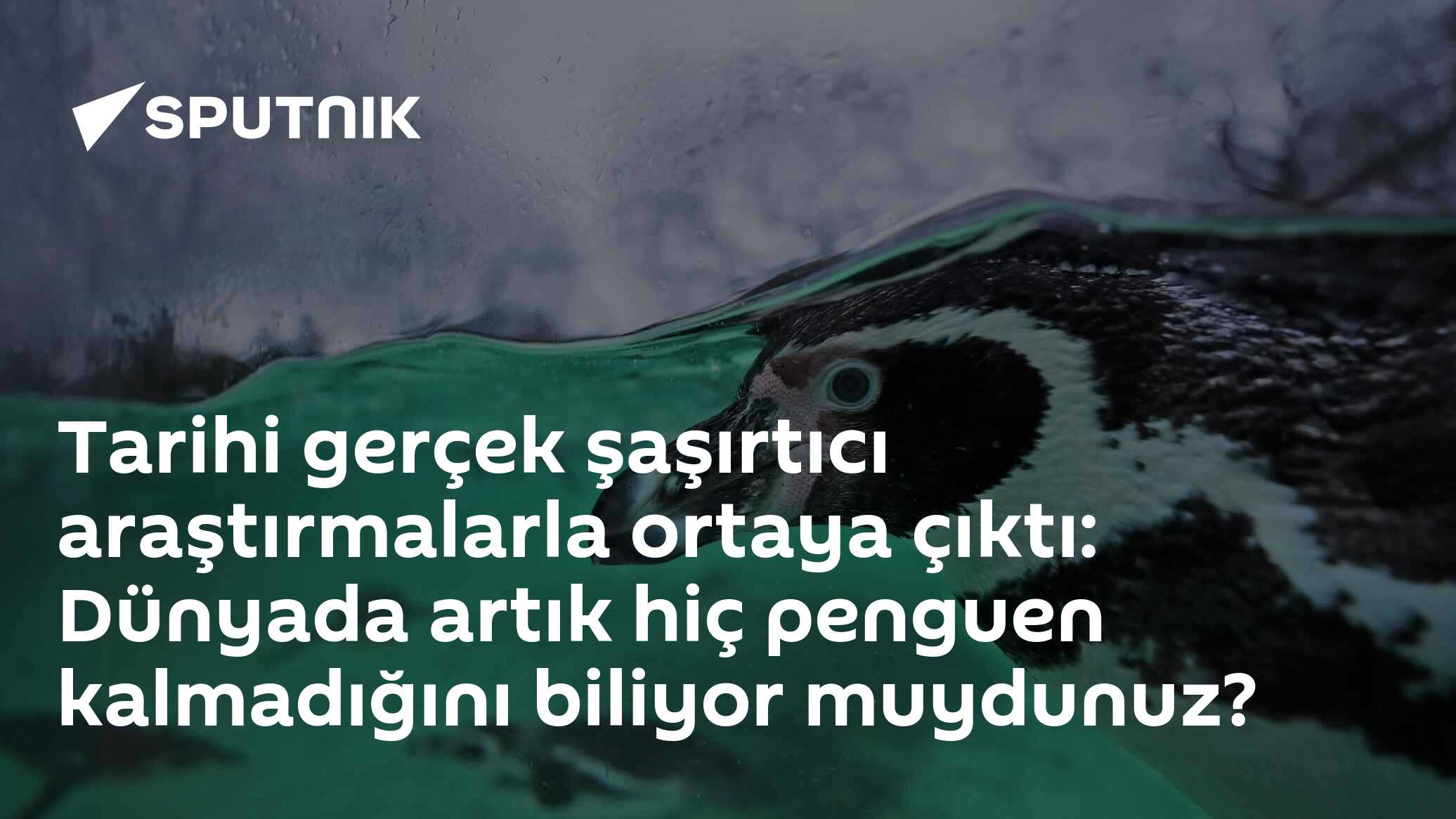 Tarihi gerçek şaşırtıcı araştırmalarla ortaya çıktı: Dünyada artık hiç ...