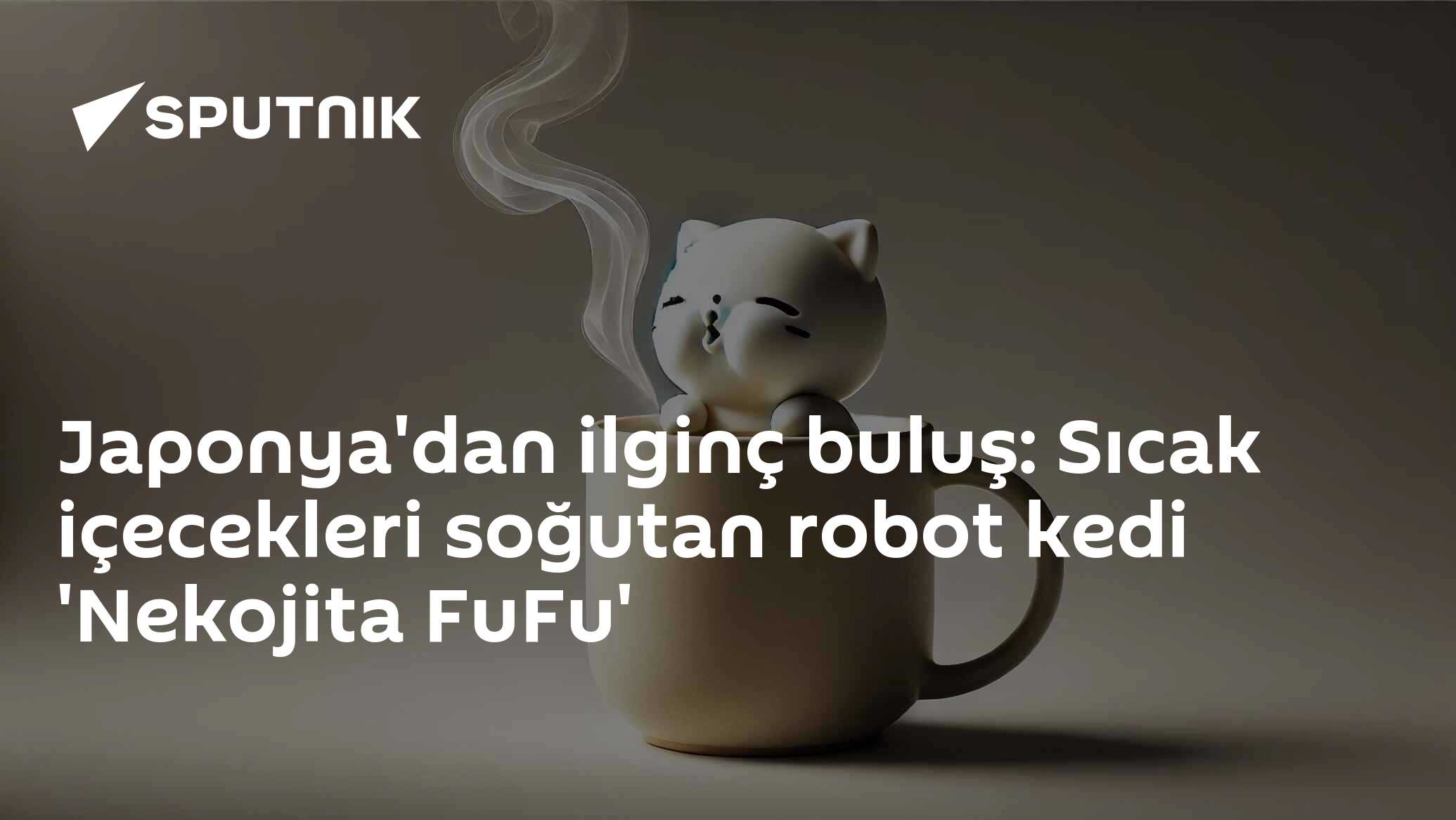Japonya'dan ilginç buluş: Sıcak içecekleri soğutan robot kedi 'Nekojita ...