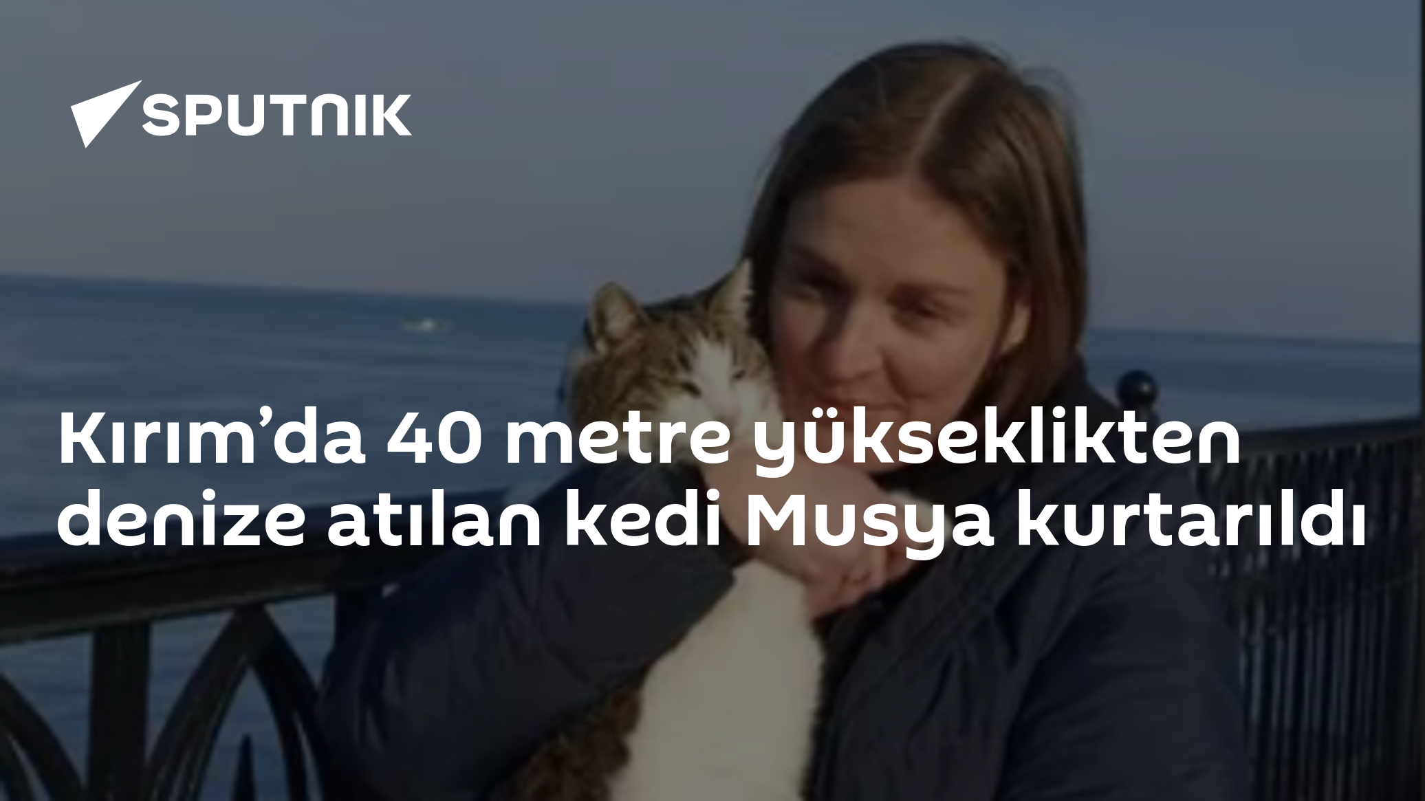 Kırım’da 40 metre yükseklikten denize atılan kedi Musya kurtarıldı - 25 ...